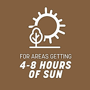 Pennington Bare Spot Repair Penkoted Grass Seed Mixture Central 1 lb