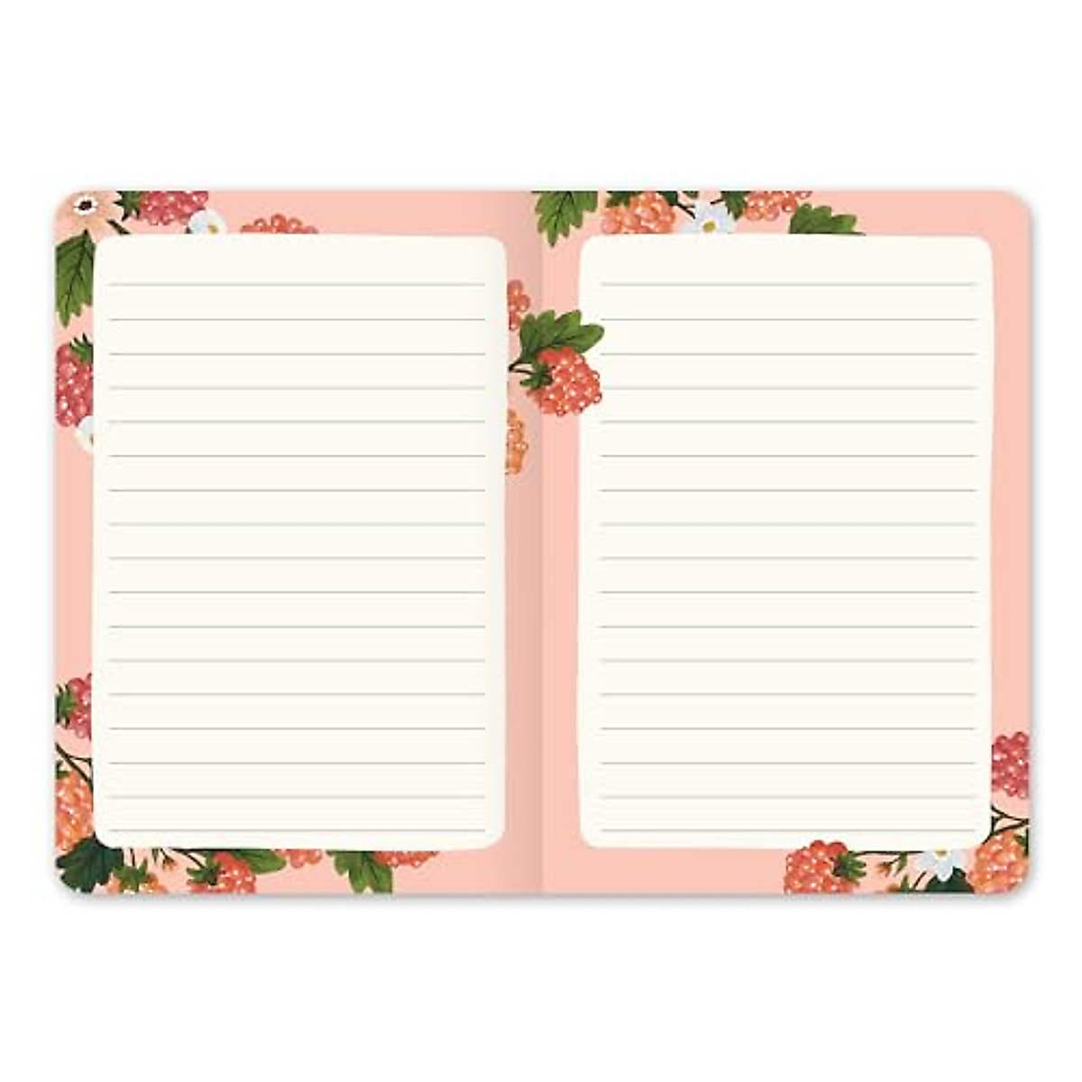 Orange Circle Studio Planner 2024, Weekly & Monthly Calendar, To Do List Notepad, Appointment Book, Budget & Goal Tracker, Small Pocket 17-Month Agenda for School/Work, Fruit & Flora