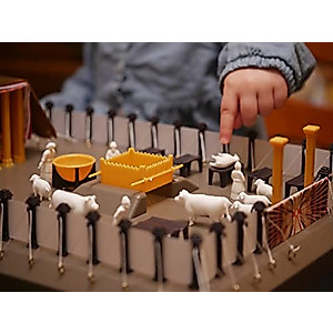 Tabernacle Model Kit - Teaching and learning resource - Old testament - Sanctuary Model Kit