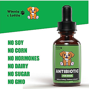 Natural Dog Antibiotics - Antibiotics for Dogs - Supports Itch Relief, Allergy Relief, Immune Health & More - Antibiotic for Dogs - Itch Relief for Dogs - Yeast Infection Treatment for Dogs - 1 oz