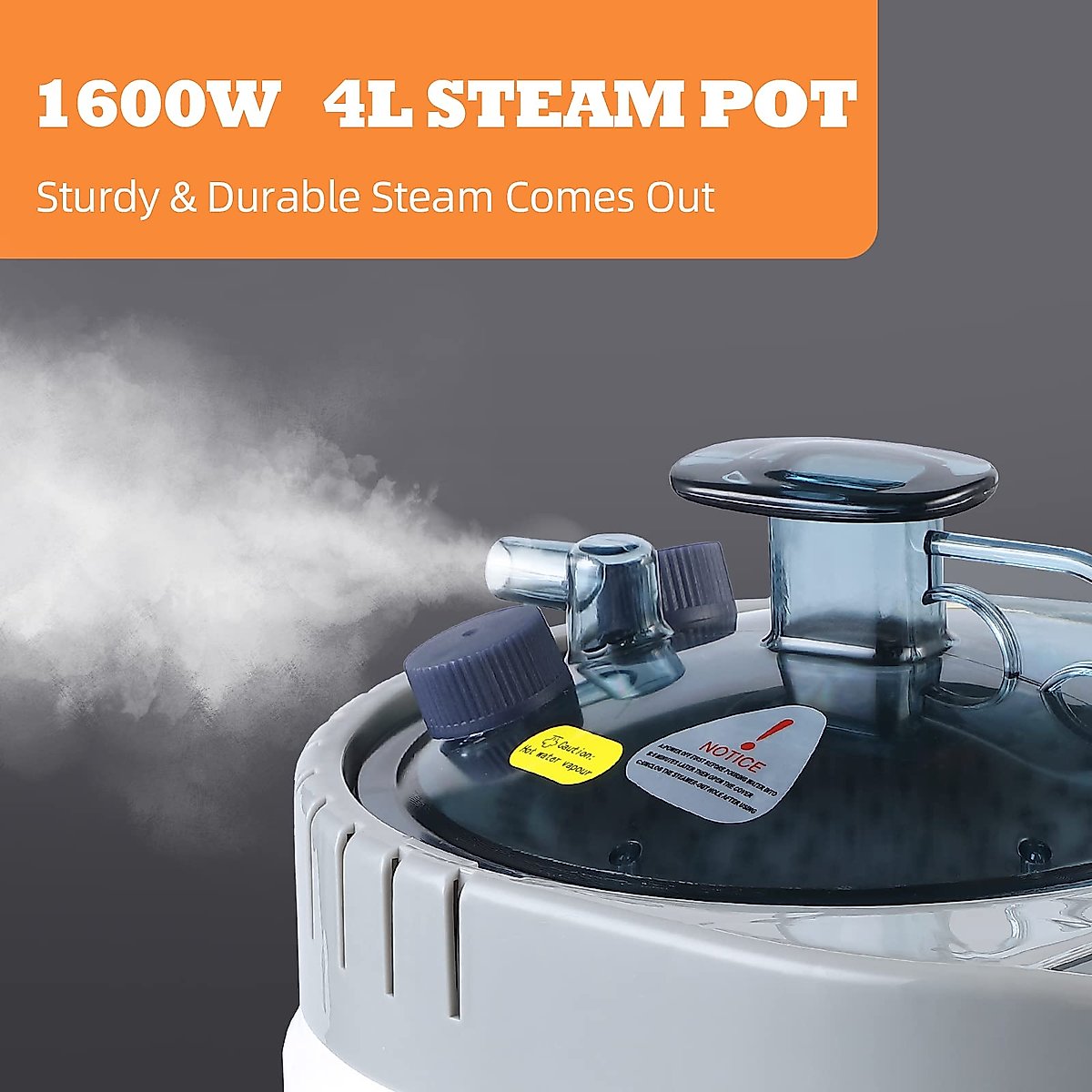 Smartmak Sauna Steamer, Portable 4L Upgraded Steam Pot Generator with Remote Control, Spa Machine with Timer Display Herbal Box for Body Detox, 110V US Plug- Grey