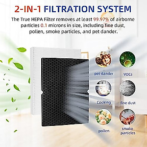 116130 Replacement Filter H for Winix 5500-2 Am80 Plasmawave Air Purifier True HEPA Carbon Filter, 2 Set