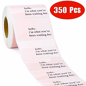 WRAPAHOLIC Hello I'm What You've Been Waiting for Stickers - Pink Business Thank You Stickers, Shipping Stickers - 2 x 3.2 Inch 350 Total Labels