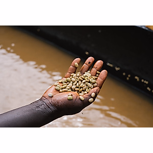 Onyx Coffee Lab Cold Brew Coffee Beans – Medium to Light Whole Bean Espresso Coffee – Low Acid Coffee Whole Bean Blend w/Notes of Cocoa, Dates