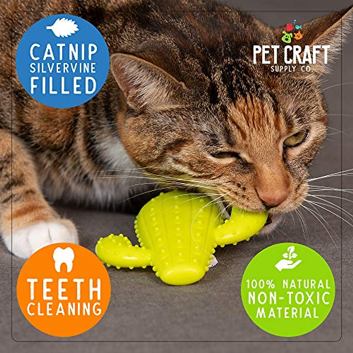 Pet Craft Supply Cactus Interactive Cat Toy Chew Toy Teeth Cleaning Bite Resistant 100% Natural Rubber with Bonus Catnip and Silvervine Bags for Kittens and Adult Cat