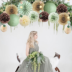 Sage Green and Brown Party Decorations Baby Shower Decorations Sage Green Beige Brown Tissue Paper Pom Poms Lanterns for Sage Green and Brown Birthday Bridal Shower Wedding Room Decor