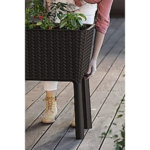 Keter Splendor 31.7 Gallon Raised Garden Bed with Self Watering Planter Box and Drainage Plug-Perfect for Growing Fresh Vegetables, Flowers and Herbs, Brown