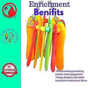 Bonka Bird Toys 1401 Spoon Circle Colorful Chew Parrotlet Beak Cockatiel Budgie Finch Parakeet Lovebird Quaker