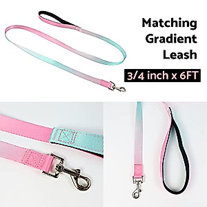 Fitwarm Dog Harness Tulle Dress with Leash Set, Daisy Floral Dog Clothes for Small Dogs Girl, Cat Apparel, Red, Yellow, Pink, Large