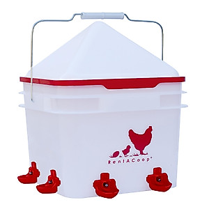 RentACoop 2 Gallon Chicken BPA-Free Plastic Bucket Waterer Set with 4 Horizontal Nipples - Corner Placement