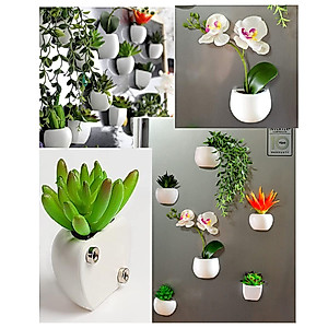 TIYGHI Fridge Magnets Artificial Hanging Plants Refrigerator Magnets Fake Succulents Whiteboard Magnet Strong Magnetic Fridge Decoration Magnet Cabinet for Home Kitchen Decoration (A)