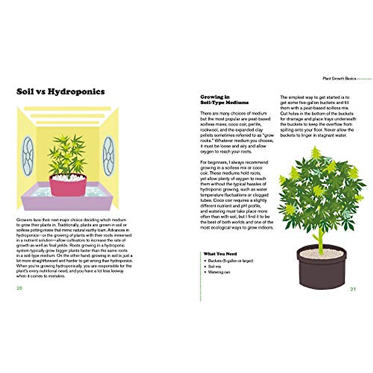 Cannabis: A Beginner's Guide to Growing Marijuana