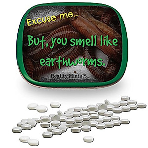 Gears Out You Smell Like Earthworms Mints Weird Gag for Friends Funny Easter Silly Stocking Stuffers for Fishermen Teen Boys Peppermint Breath Mints Stocking Ideas for Men Kids Worm Gags Fishing