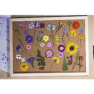 Dried Flowers for Resin, elefis 6 Packs Pressed Flowers and Leaves for Resin, Candle Making, Crafts, Nails, Scrapbooking, Epoxy Jewelry, Soap Making (Colorful A)