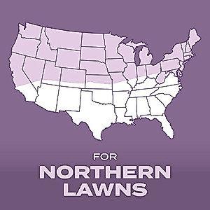 Scotts Turf Builder Grass Seed Perennial Ryegrass Mix with Fertilizer and Soil Improver, Establishes Quickly, 2.4 lbs.