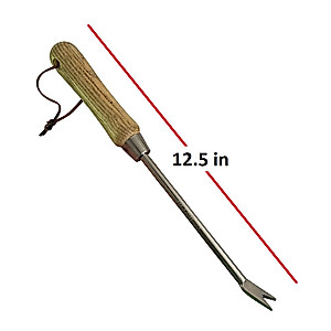 Garden Guru Eco Dandelion Weeder Tool with Ergonomic Wood Handle - 100% Recycled Stainless Steel - Rust Resistant - FSC Certified Wood - Weed Puller for Planting, Weeding, Flower & Vegetable Care