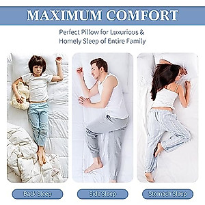 Sherwood Hotel Collection Bed Pillows for Sleeping 2 Pack Queen Size, Soft Microfiber Cover and 3D Super Soft Down Alternative Filled White Pillows, 20x28 Inches