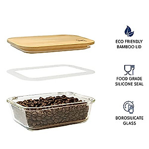 DE Plastic-Free Glass Food Storage Containers with Eco-Friendly Bamboo Wooden Lids, Set of 4 Pantry Organization Ideal for Flour, Sugar, Coffee, Teabags, Pasta, Candy, Snack and Various Dried Foods