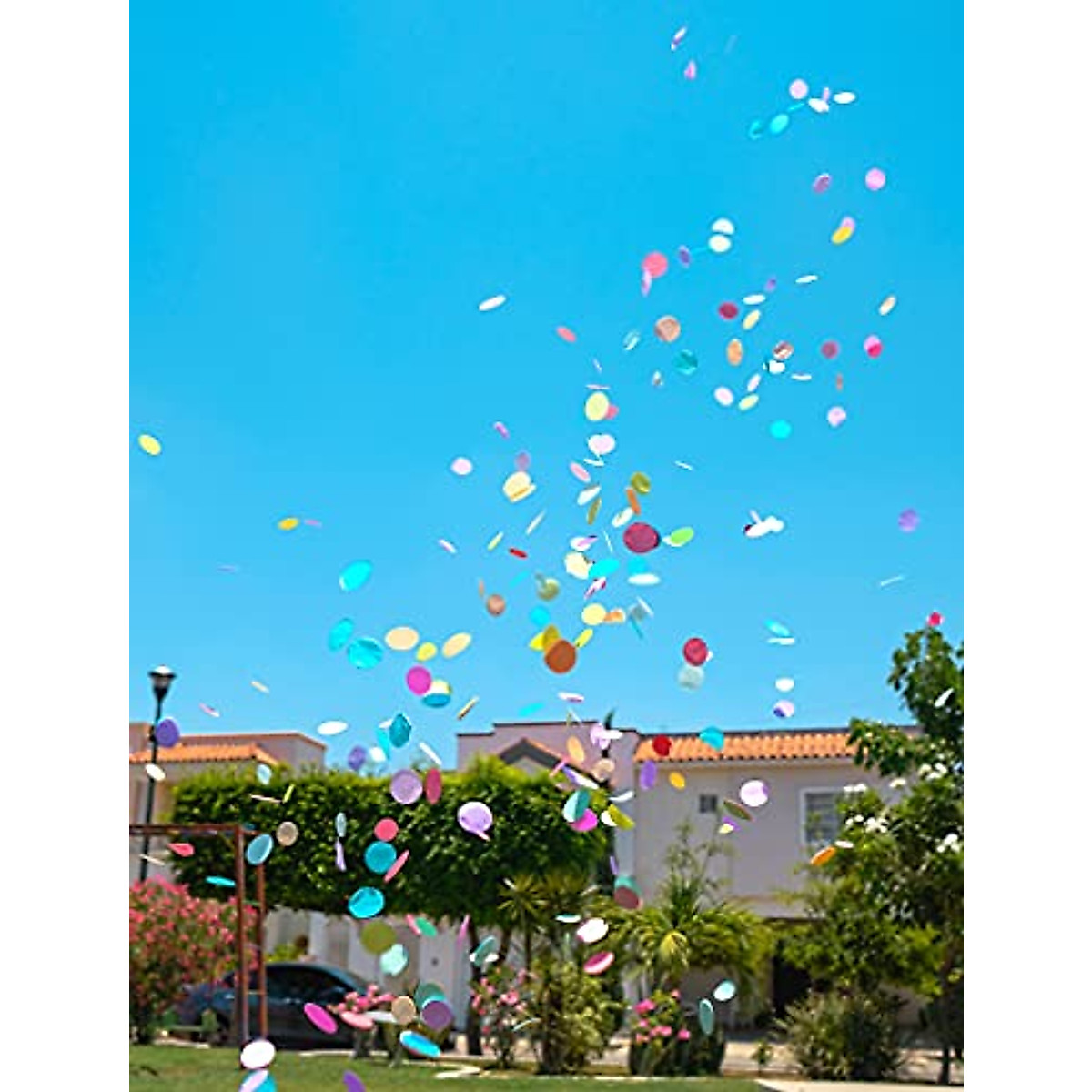 La Sol Imports Round Pastel Tissue Confetti Circle Dots Rainbow Confetti for Party Table Wedding Celebrations Multicolor Biodegradable Paper Tissue 1 inch Circles 1.4 Oz 1.4 Ounce Pack of 1