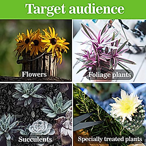 Sukh Horticultural Charcoal for Plants - 1Qt. Natural Earth Regulated Supplement for Potting Soil Indoor Plants, Succulent Soil, Orchid Potting Soil, Paphiopedilum, Bonsai, Terrarium.