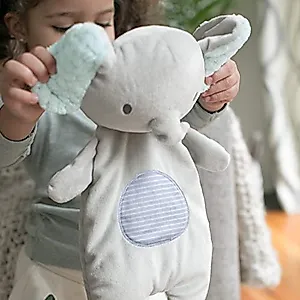 Ingenuity Premium Soft Plush Soothing Bean Bag Lovey, Van The Elephant, Ages Newborn and up, 12380 (Pack of 2)