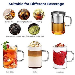 Ecooe 16.9 Oz Borosilicate Glass Tea Mug Cup Tea Glasses with Stainless Steel Infuser & Lid, Loose Leaf Glass Tea Cup Teacup 500mL