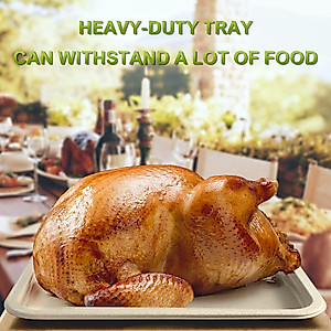 BangShou 14 Inch Disposable Food Trays, 10 Pack 100% Biodegradable, Heavy-Duty Food Crawfish Trays, Compostable Plates Extra Large Paper Plates For Crawfish, BBQ, Party, Serving Platter