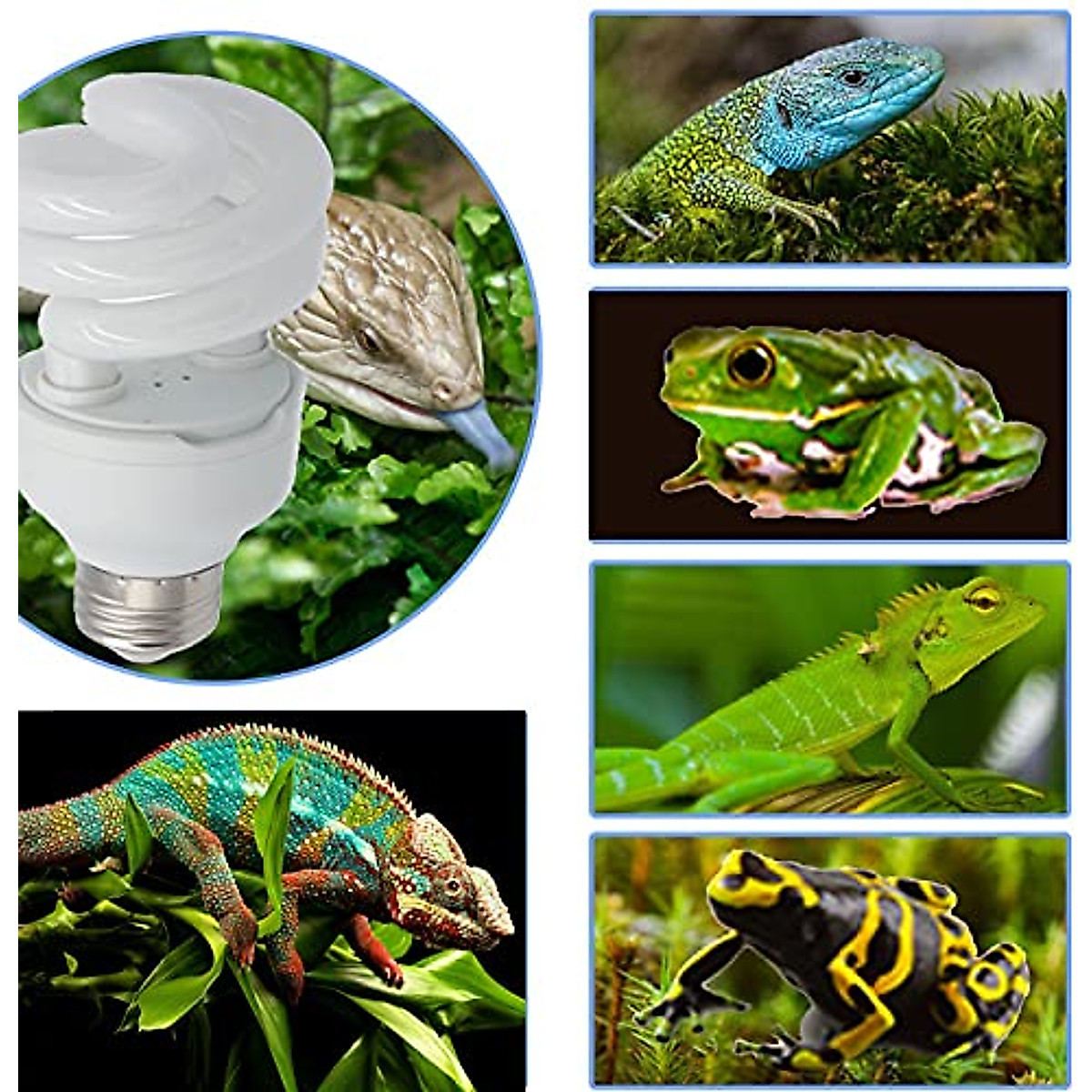 PTCCTV UVB Reptile Light Bulb 5.0 Turtle Lamp Energy Saving Compact Fluorescent Bulbs for Tropical Rainforest Amphibians Pet aquarium Fish Lizard Snake,E27 Screw (UVB5.0 13W)