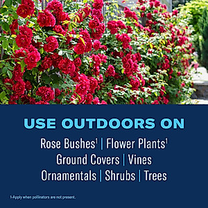 BioAdvanced All-in-One Rose & Flower Plant Care, Ready-to-Use, 24 oz