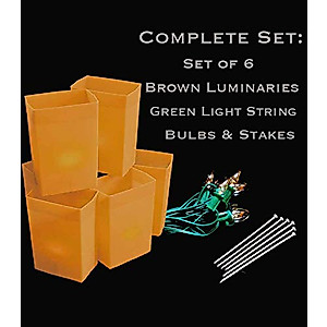 Set of 6 Brown Luminaries, Light String, Bulbs & Stakes