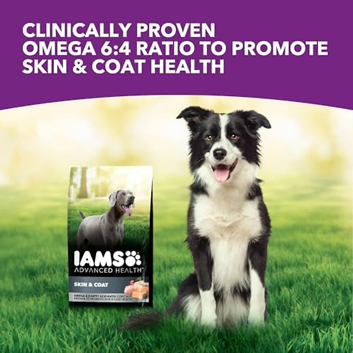 Iams Advanced Health Skin & Coat Adult Dry Dog Food Chicken and Salmon Recipe, 6 lb. Bag