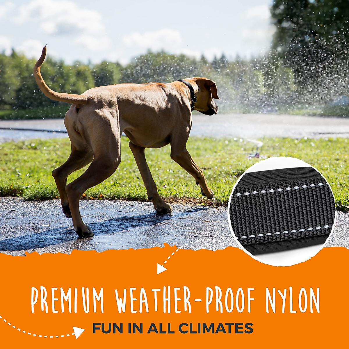 Mighty Paw Dog Collar - Padded Comfort - Neoprene Lining - High Visibility Reflective Threading - Weatherproof Nylon - Buckle Adjustable Dog Collar - Comfortable Dog Collar for All Dog Breeds