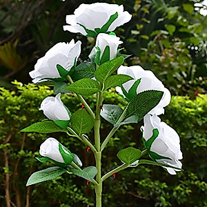 Outdoor Solar Rose Lights - Color Changing Garden Stake 2 Pack