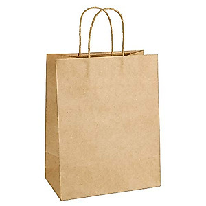 100pcs Kraft Paper Bags 7.9x4.25x10.6" Gift Bag with Handles for Wedding Party Craft Retail Packaging,Recycled Twist handles Brown Shopping Bags (Brown,S-100)