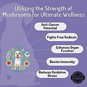 ANP Enhance Your Dog's Health with Mushroom Immune Supplement Boosting Dog Chews - No Animal Protein Formula - Vitality, Longevity, and Gut Health - Potent Reishi, Chaga, and Shiitake Mushrooms