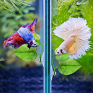 4 Pieces Betta Bed Leaf Hammock for Betta Fish, Lightweight and Realistic Resting Spot, No BPA, Practical, Comfortable and Safe (Double Leaf)