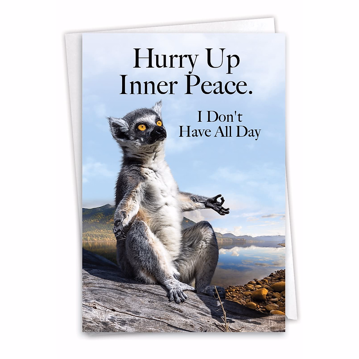 NobleWorks Funny Birthday Greeting Card with 5 x 7 Inch Envelope for Men and Women (1 Card) Meditation Bday, Inner Peace Rush C10253BDG