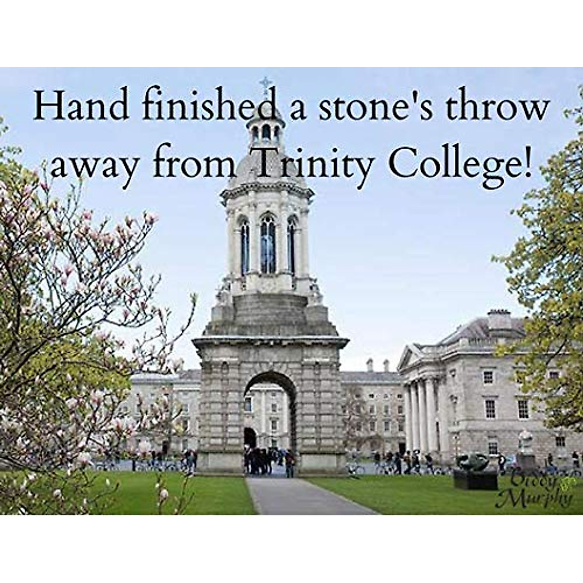 Solvar Sterling Silver Ladies Claddagh Wishbone Ring Sz 7