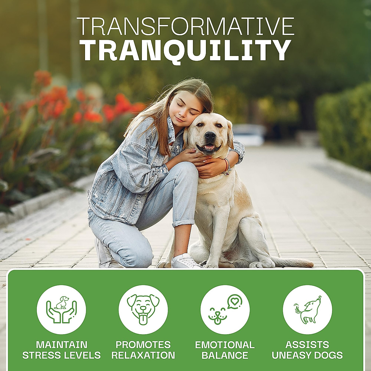 Nautical Nourish Calming Bacon Dog Treats - Help Relief Anxiety, Balance Stress Levels and Overall Mood, Supports Relaxation for Dogs, 30 Count