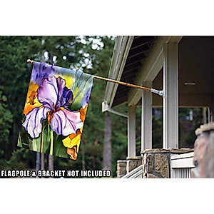 Toland Home Garden 109596 Iris Field Spring Flag 28x40 Inch Double Sided Spring Garden Flag for Outdoor House Flower Flag Yard Decoration