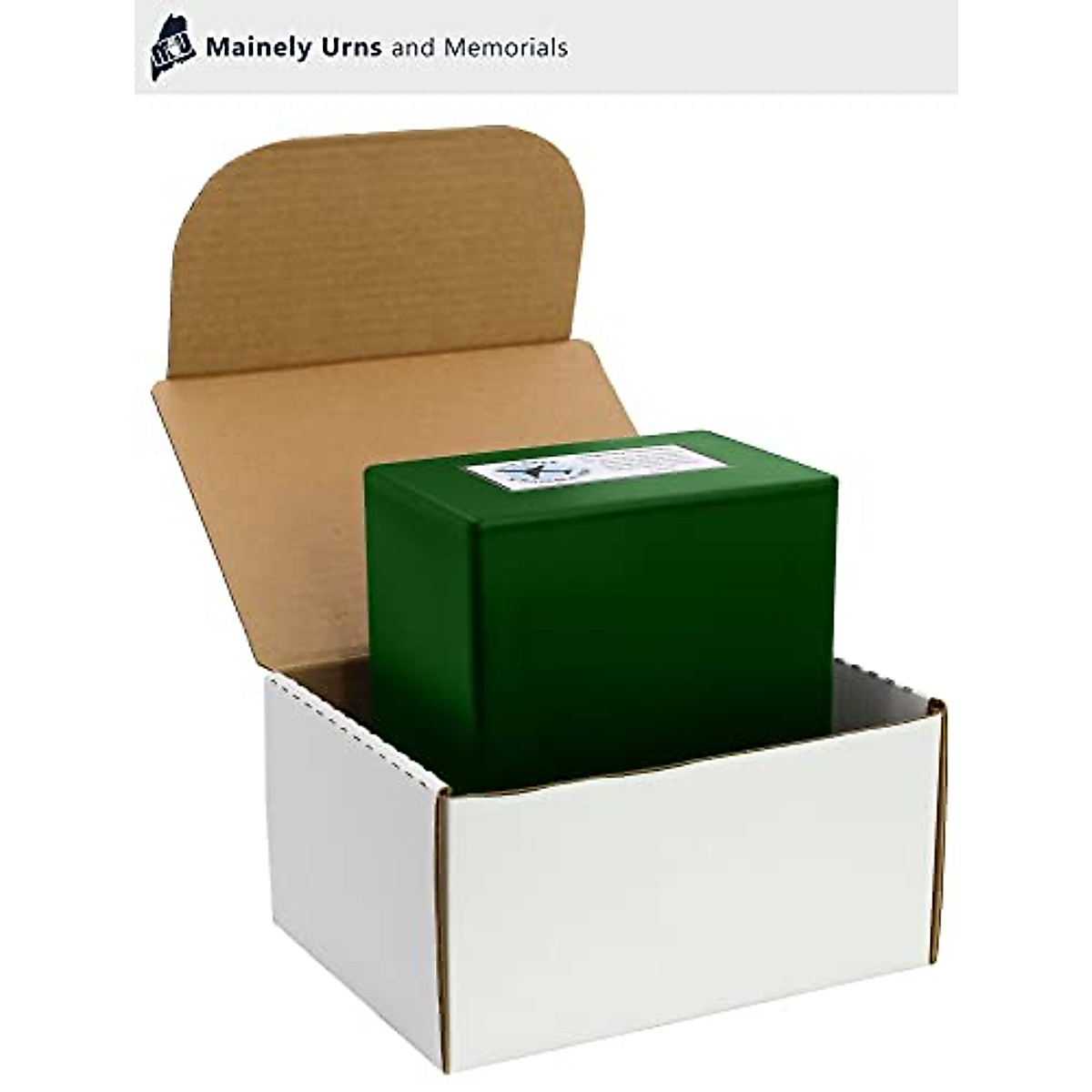 TSA Approved Fly-Safe and Temporary Travel Cremation Urn Kit for Human Ashes - Airline Friendly - 200 Cubic Inch Capacity - Airline-Ready Green Plastic Urn with Included Travel Box