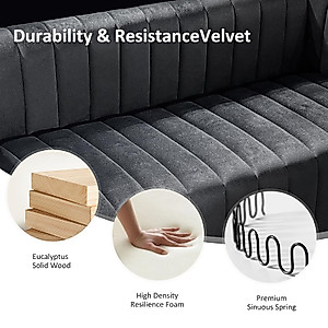 ANTTYBALE 81" W Tufted Velvet Couch,Modern Velvet Sofa with Round Handrails and Metal Ball Legs for Living Room,Office,Apartmen