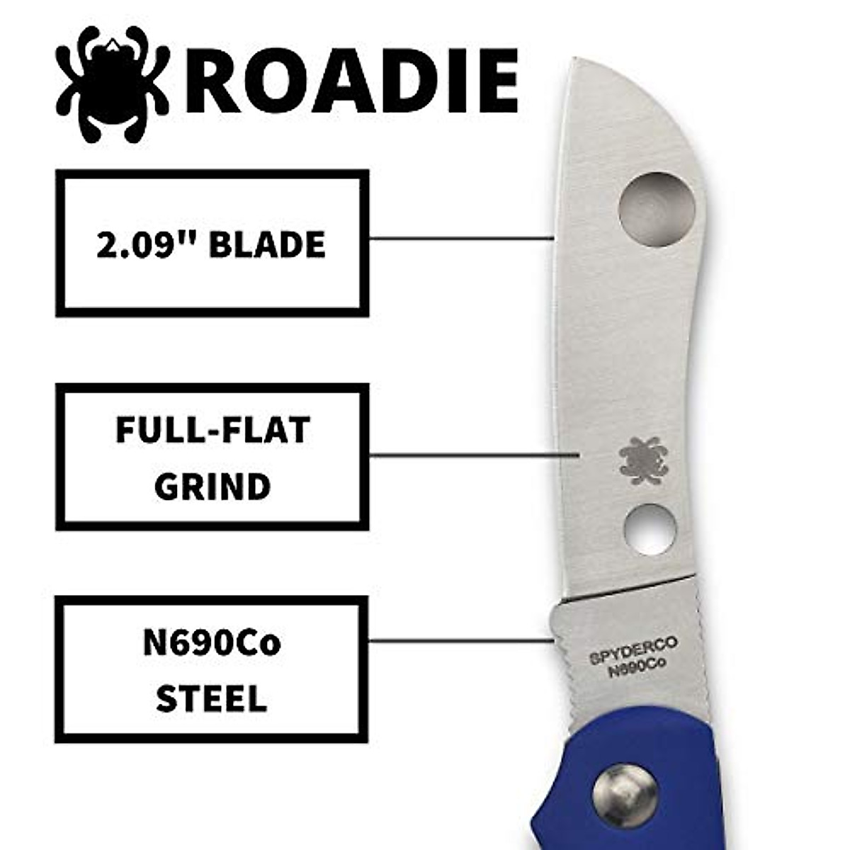 Spyderco Roadie Non-Locking Lightweight Knife with 2.09" N690Co Stainless Steel Blade and Durable Blue FRN Handle - PlainEdge -C189PBL
