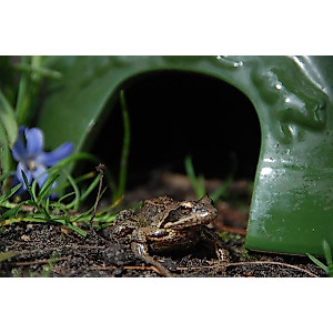 Four Pack of Esschert Design Green Toad Houses