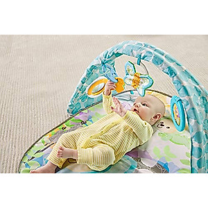 Fisher-Price Butterfly Dreams Musical Playtime Gym [Amazon Exclusive]