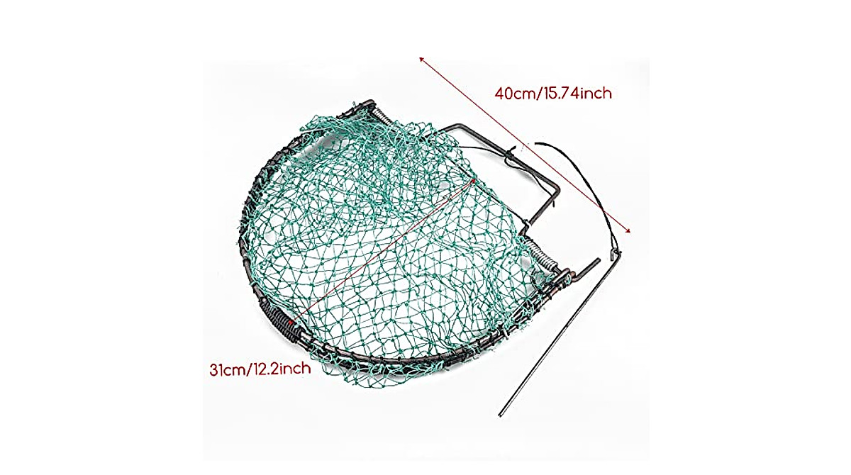 Humane 16" Bird Trap for Small Birds Pigeons & Sparrows