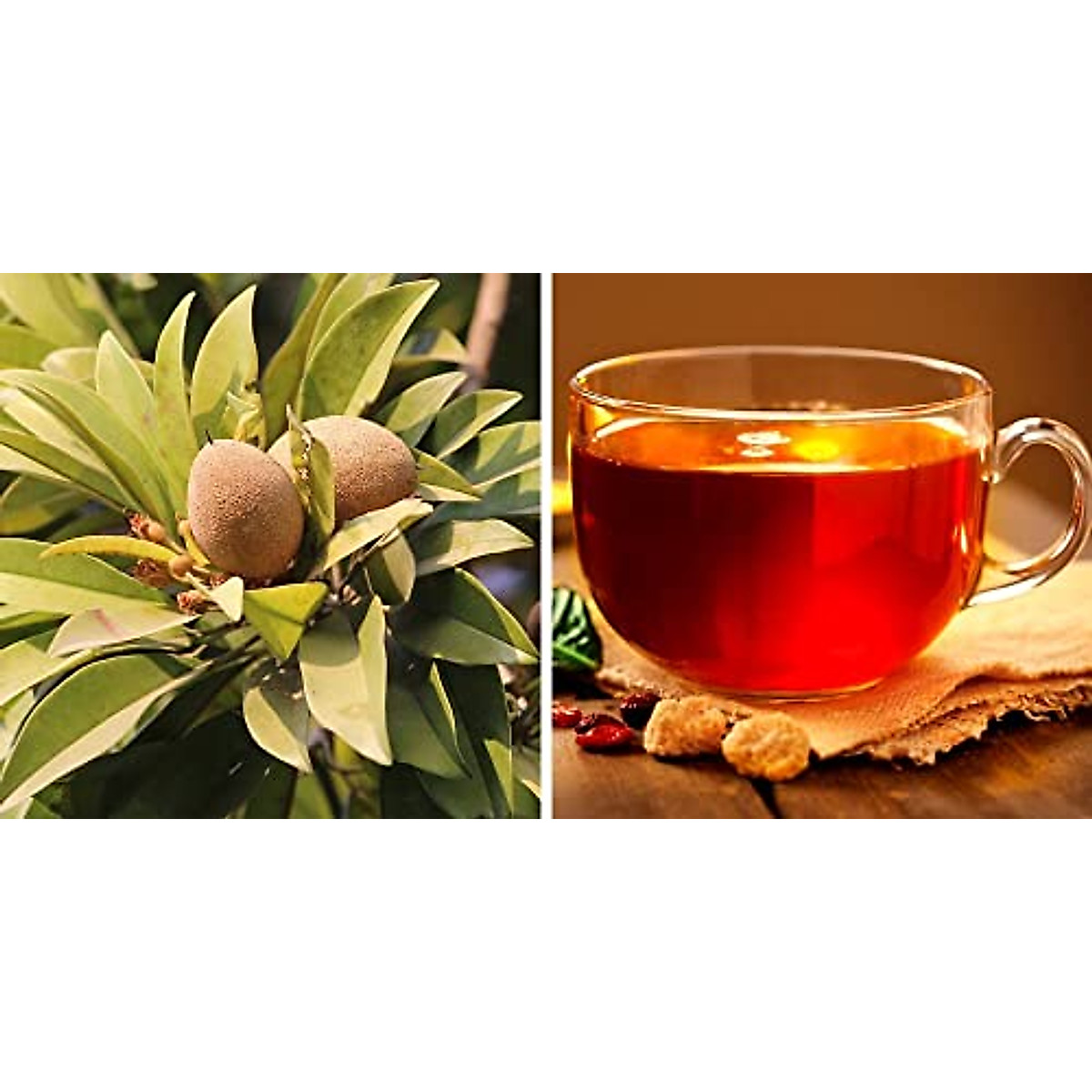 Yerbero - Te Herbal Hojas De Nispero 2oz (58gr) Herbal Tea (Loquat Leaves Tea) Stand Up Resealable Bag Crafted By Nature100% All Natural Fresh Tea Tea | Non-GMO |Gluten-free.