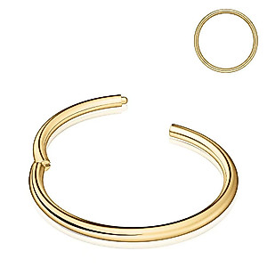 M MOOHAM Nose Rings for Women, 20g Gold Hoop Earring Surgical Steel Hypoallergenic Hinged Small Nose Ring 20 Gauge 8mm Septum Lip Ring Cartilage Hoop Earring Conch Piercing Jewelry