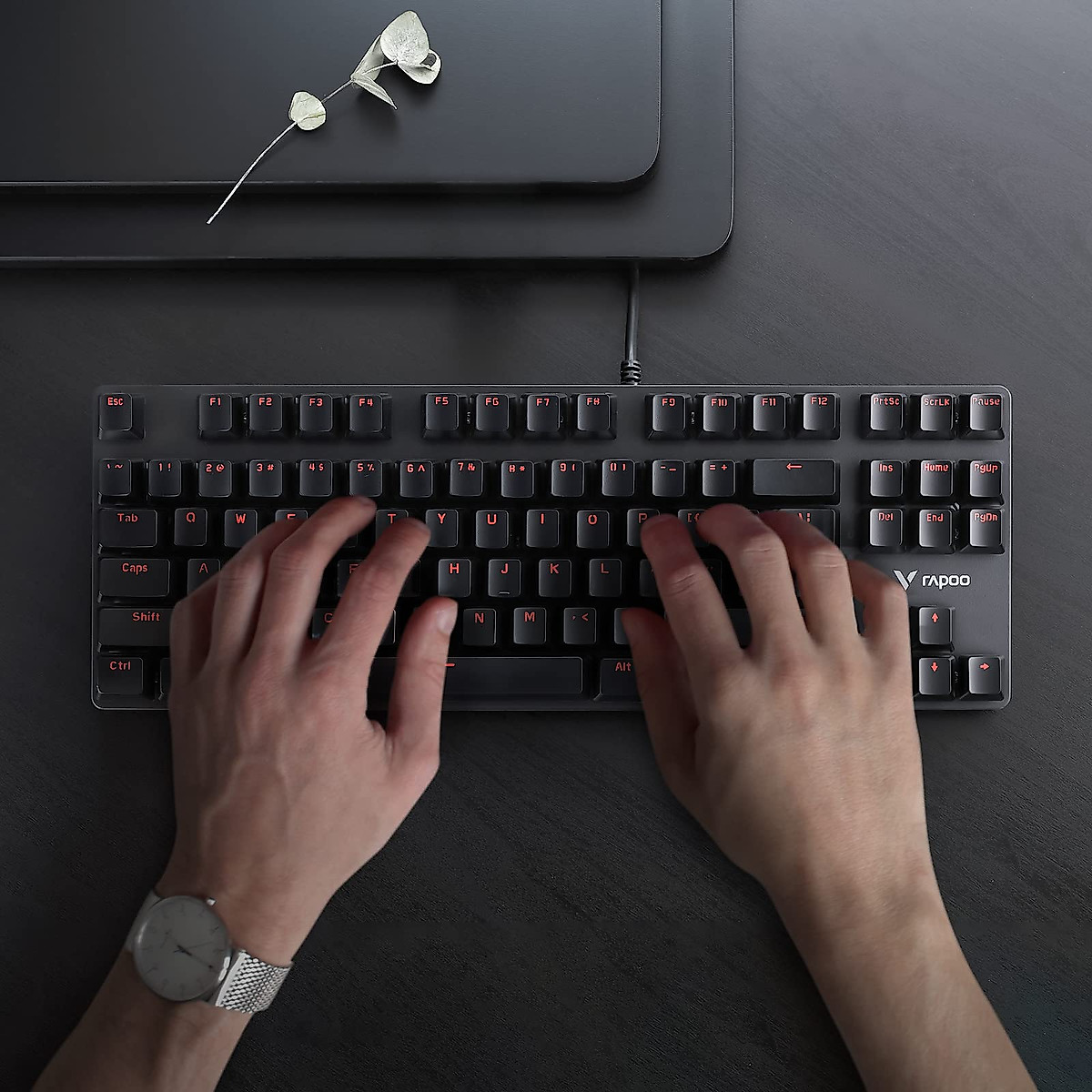 Mechanical Gaming Keyboard, RAPOO V500 Alloy Wired Keyboard with Black Switches for Game Players, Quick Response Gaming Keyboard, Anti-Ghosting Keyboard for Windows Gaming PC/Game Laptop, 87 Keys