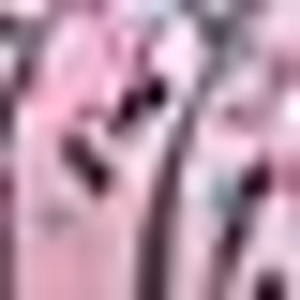 NEW TILAMI Kids Travel School Backpack for Girls,Elementary School Bags for Primary Middle Waterproof Laptop Backpacks for Kids School Bags 16inch 300D High Density Oxford Pink Paris